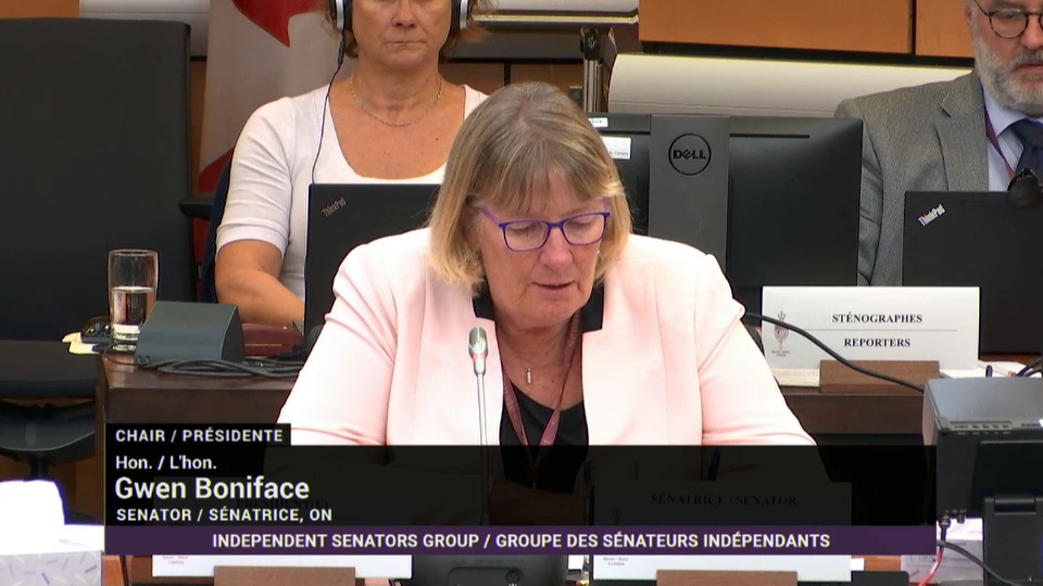 Rights Groups Comment on Bill C-59 | In Committee from the Senate of ...