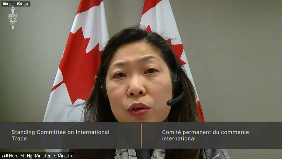 Accord commercial de transition Canada-R.-U. : la ministre Ng | Les comités de la chambre des ...