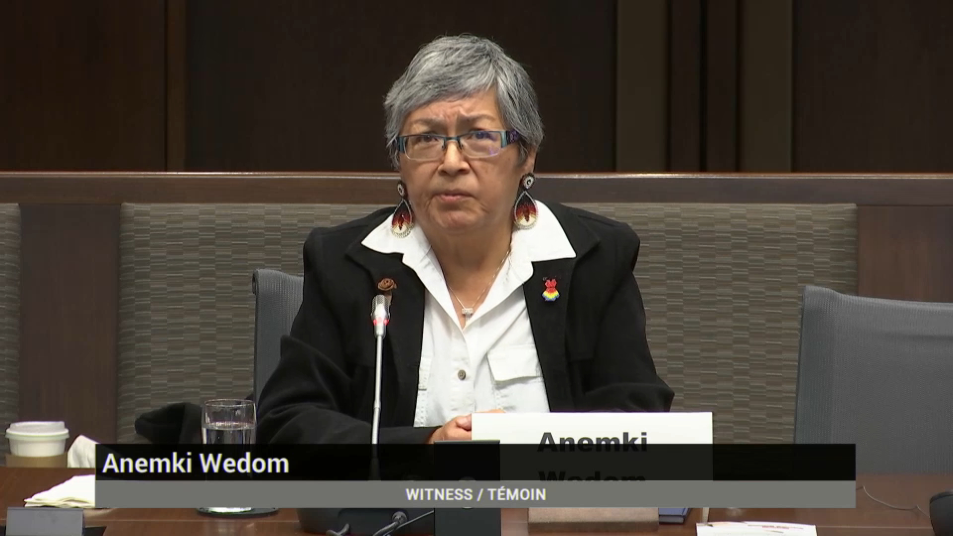 Indigenous Peoples - November 8, 2023 | In Committee from the Senate of ...