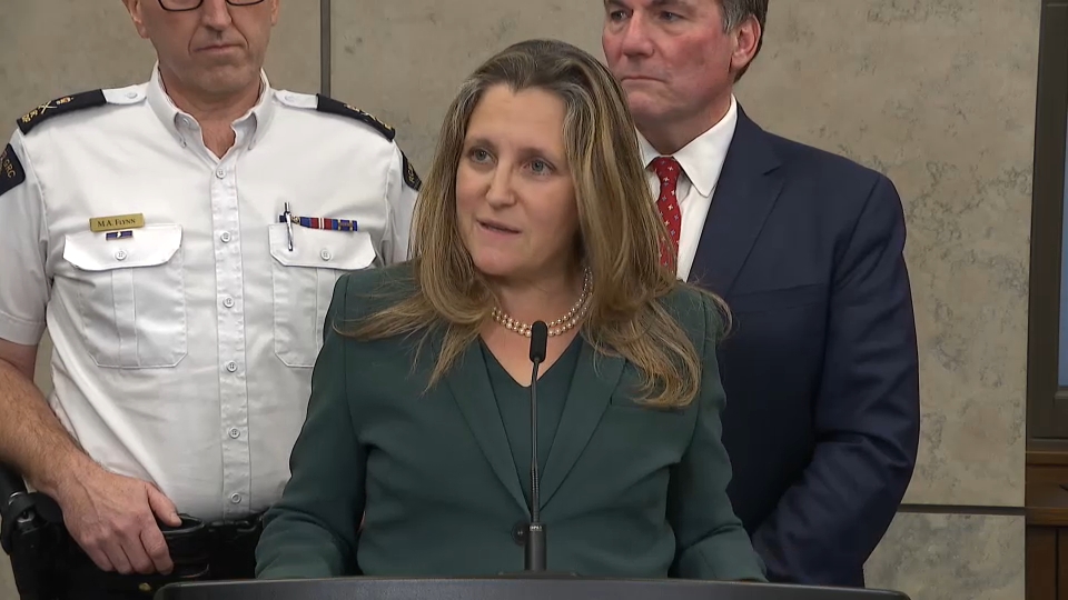 Federal Ministers Speak After First Ministers Meeting on Trump Tariff ...