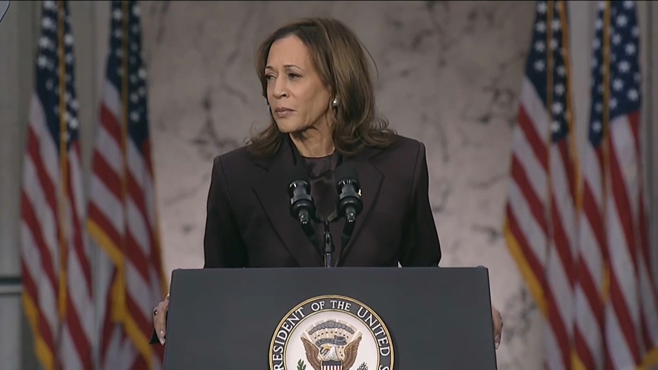 2024 U.S. Presidential Election: Kamala Harris Addresses Supporters ...