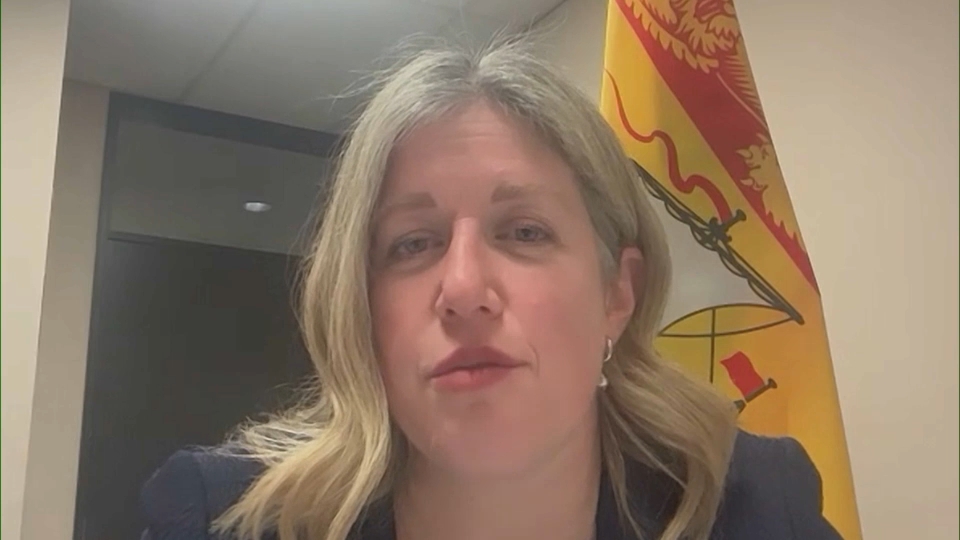 First Ministers’ Meeting: N.B. Premier Susan Holt Holds News Conference ...