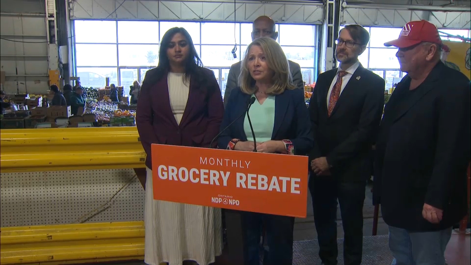 Ontario NDP Leader Marit Stiles Proposes Monthly Grocery Rebate ...