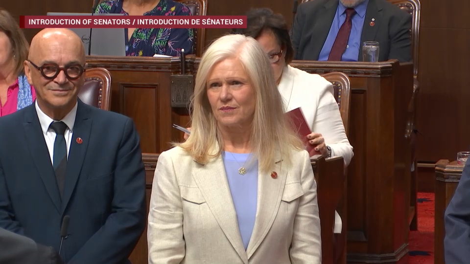 May 28, 2025 - Senate Proceedings - CPAC.ca