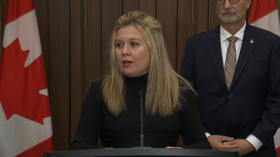 Michelle Rempel Garner Proposes Changes to Border Security Bill ...